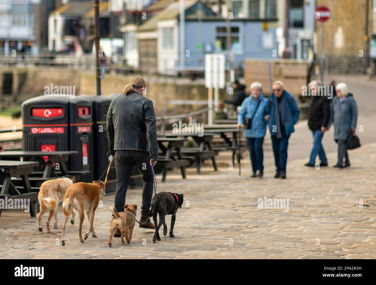 Walker seaside hi-res stock photography and images - Alamy