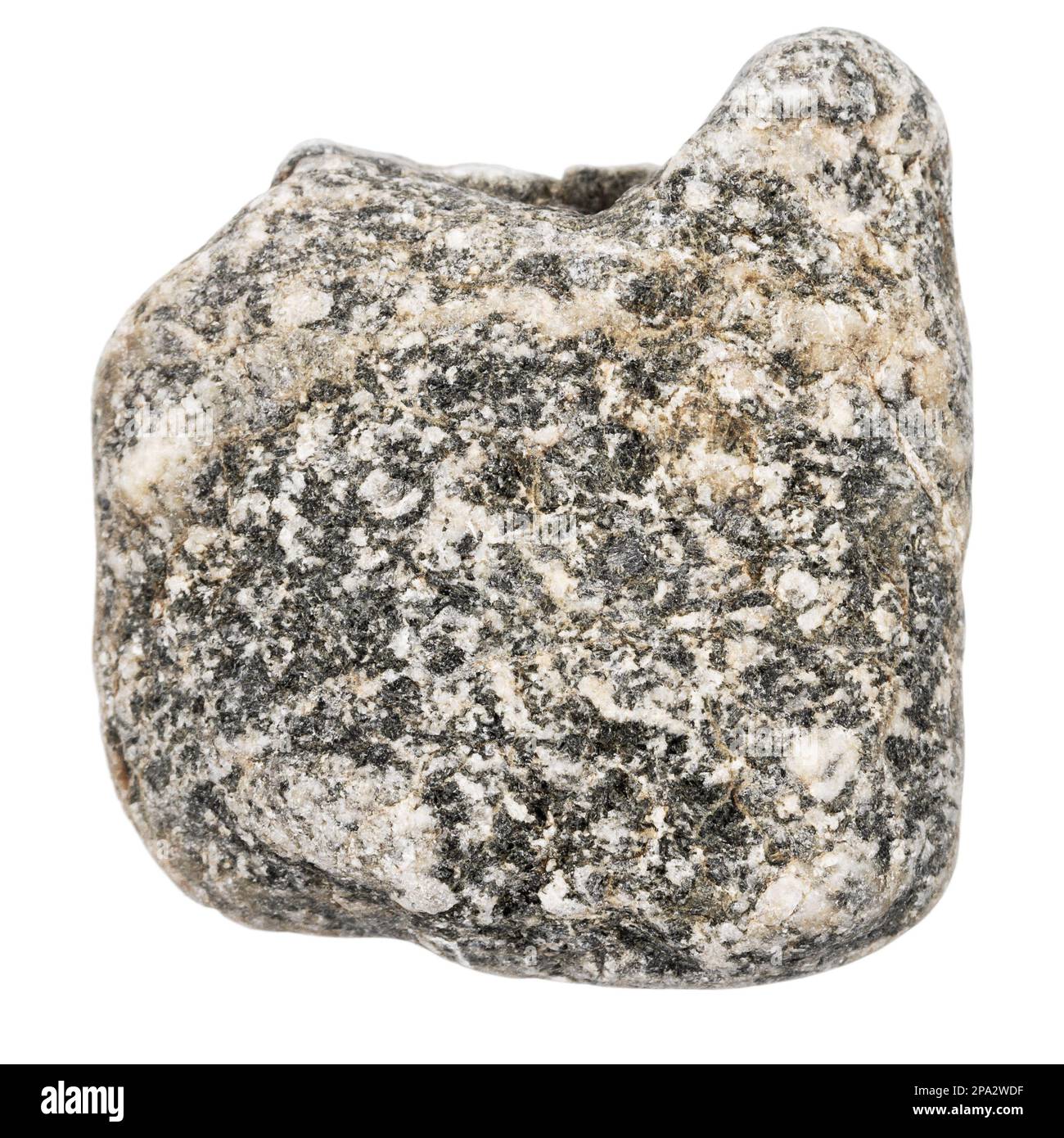 Top view of single gray pebble isolated on white background Stock Photo ...