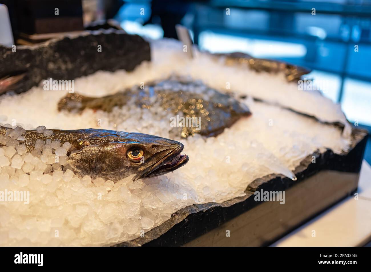 Whole fish displayed on a counter filled with ice and ready for sale ...