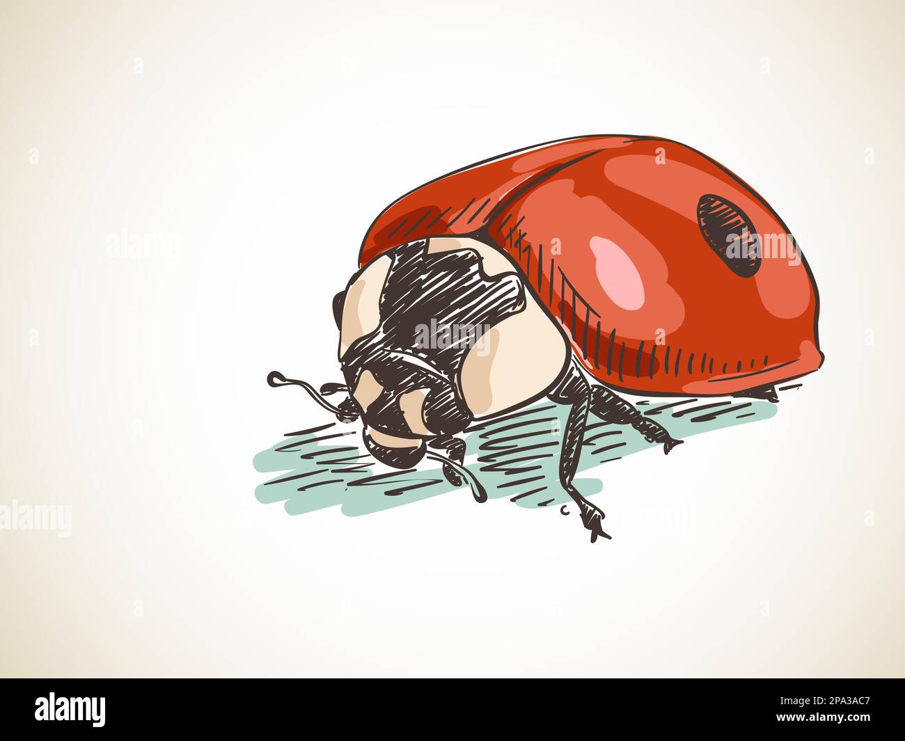 Sketch of red ladybug, Hand drawn vector illustration Stock Vector ...