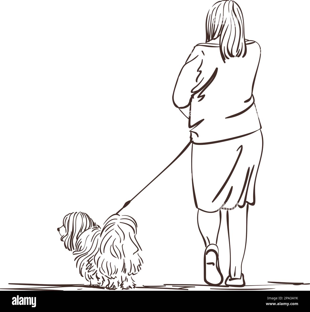 Senior woman walking her dog, Hand drawn illustration, Vector sketch ...