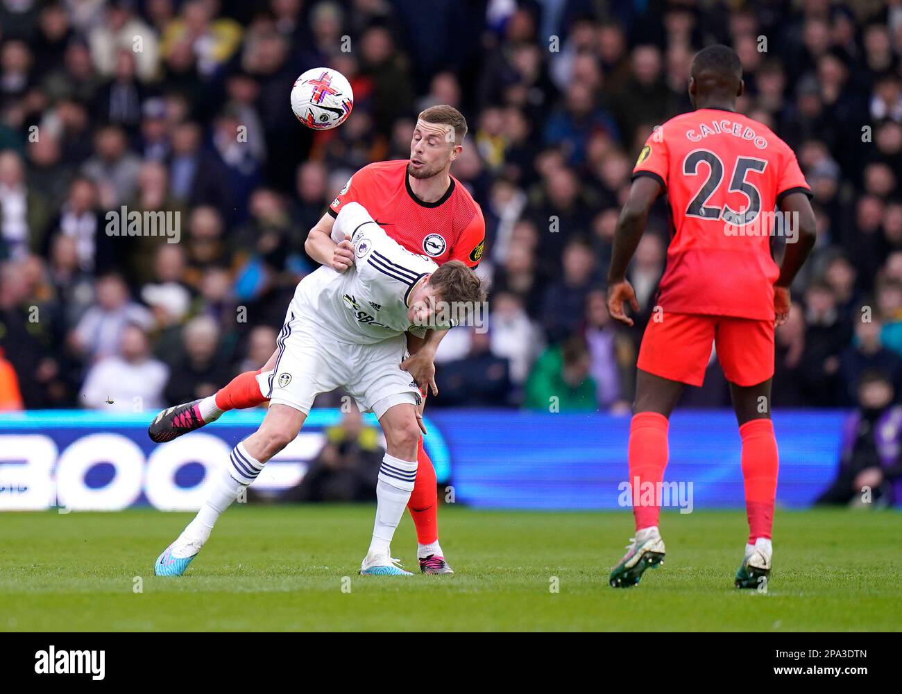 Adam webster brighton 2023 hi-res stock photography and images - Alamy