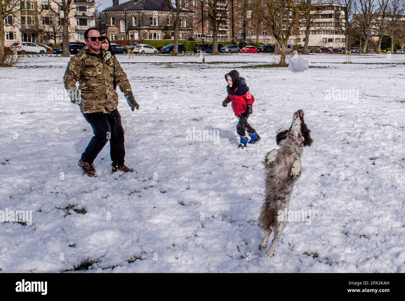 Harrogate, UK. 11th Mar, 2023. As the sun was shining and the snow ...
