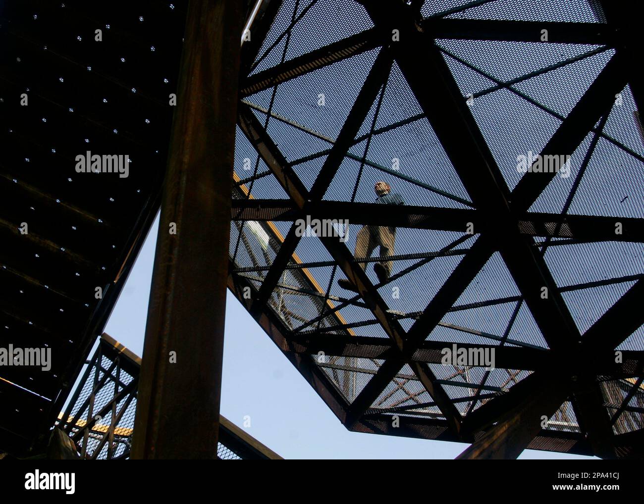 A man stands on the 18m high Xstrata Treetop Walkway at The Royal ...