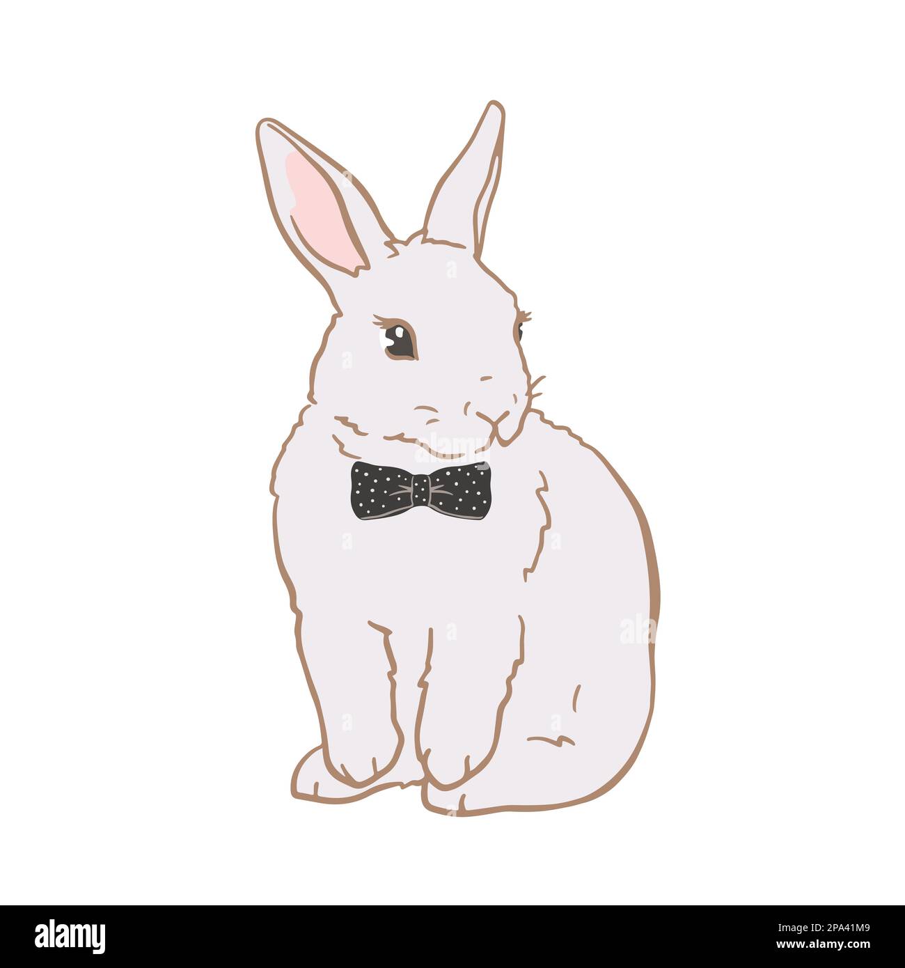Cute bunny hand drawn illustration Stock Vector Image & Art - Alamy