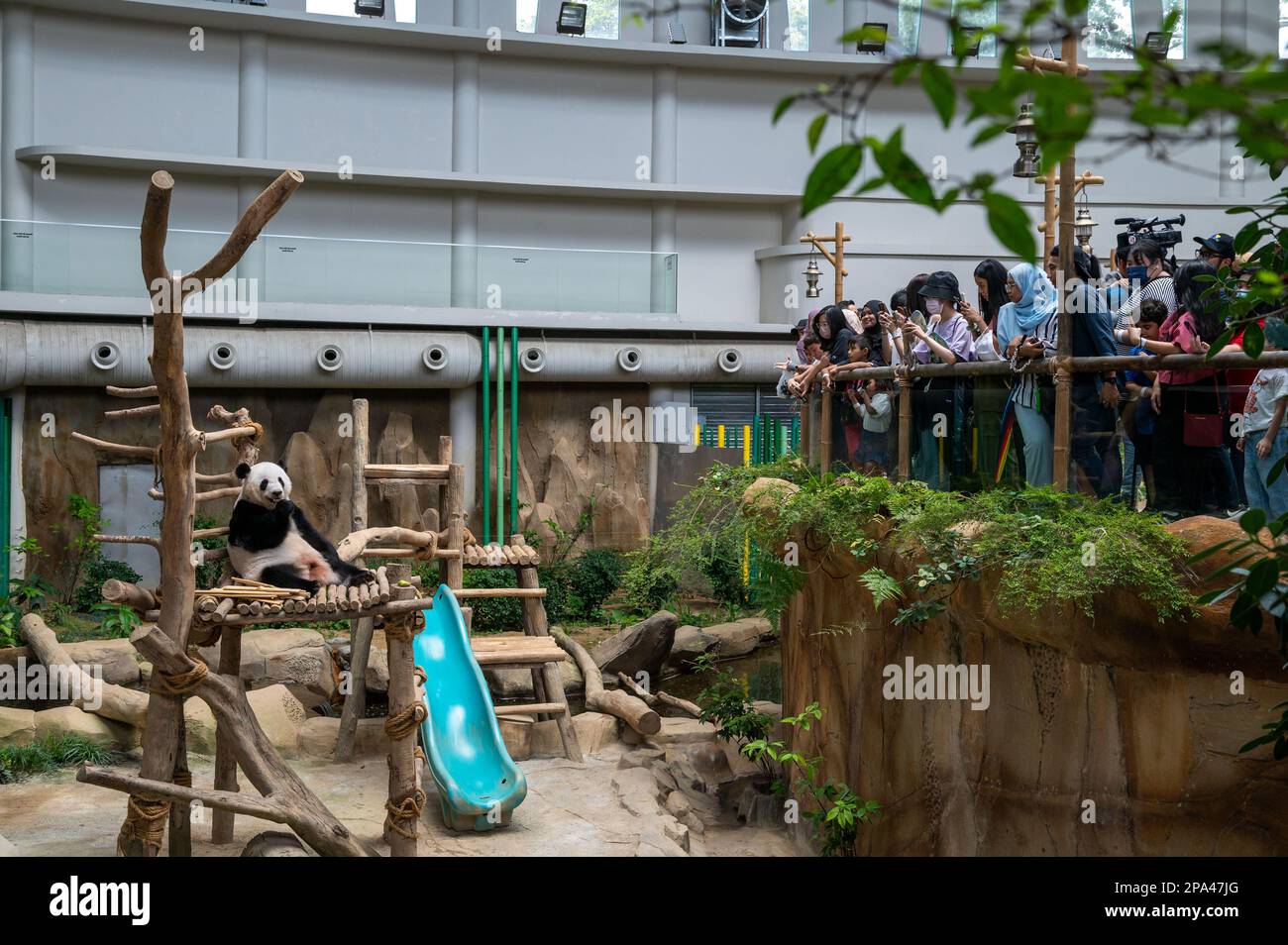Kuala Lumpur, Malaysia. 11th Mar, 2023. Tourists look at a giant panda ...