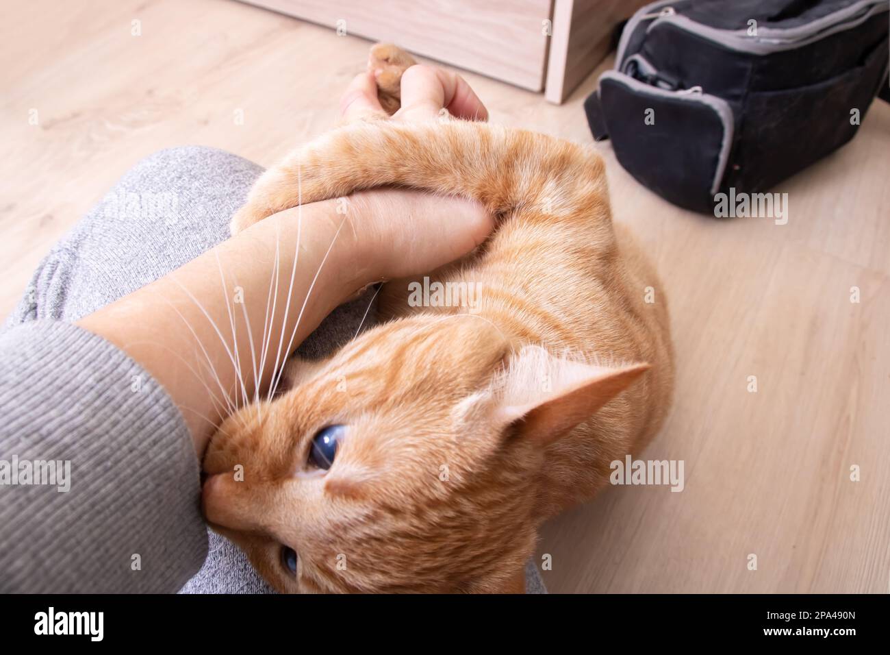Serious bites hi-res stock photography and images - Alamy