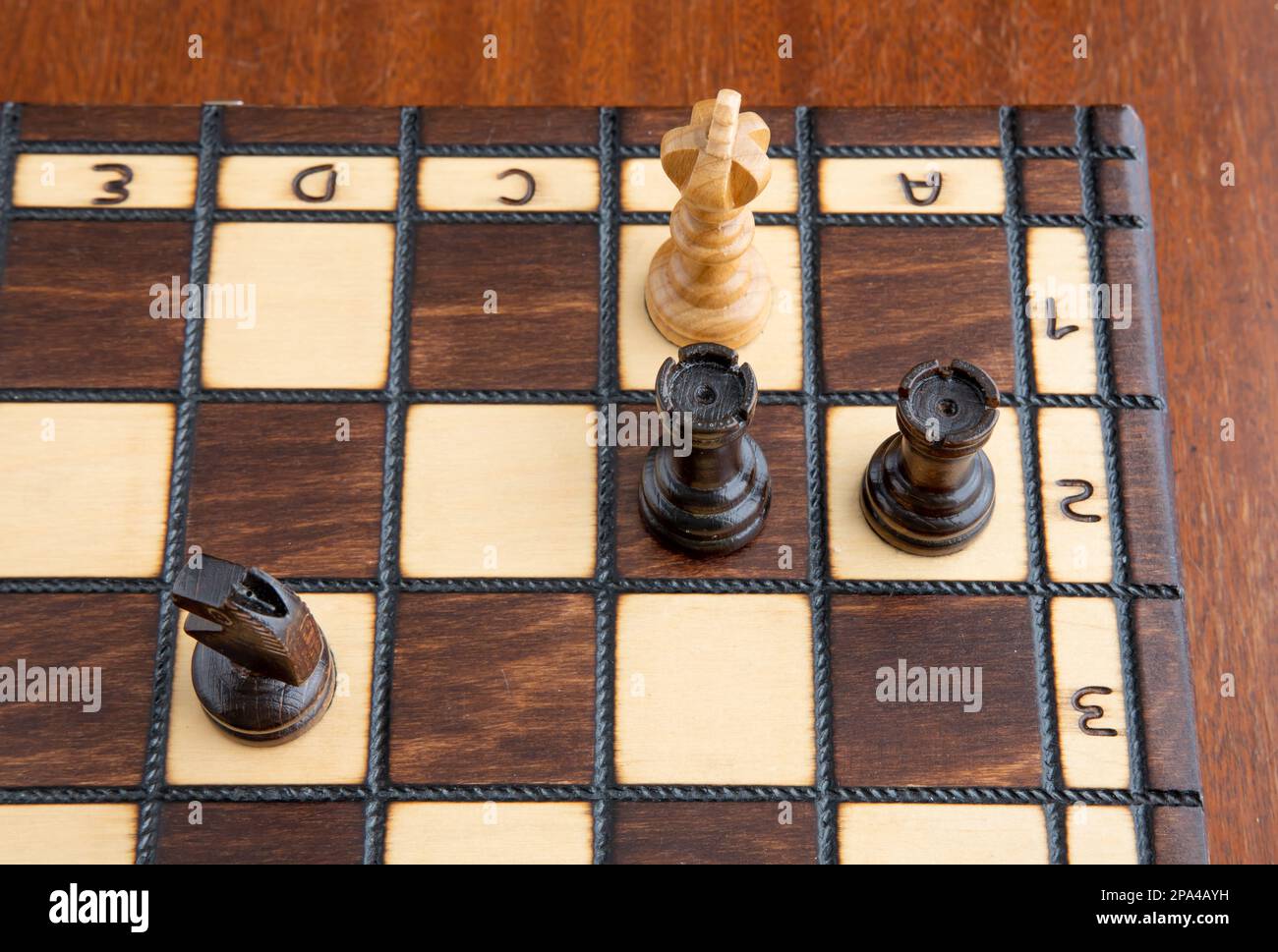 Blind swine mate delivered by two rooks with some help from knight ...