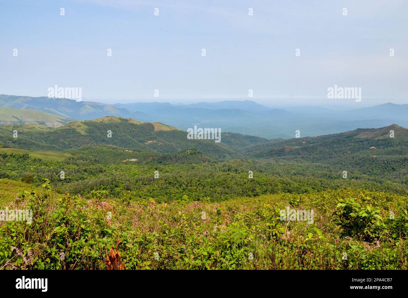 Mullayanagiri range of mountains near Chickmagalur, India Stock Photo ...