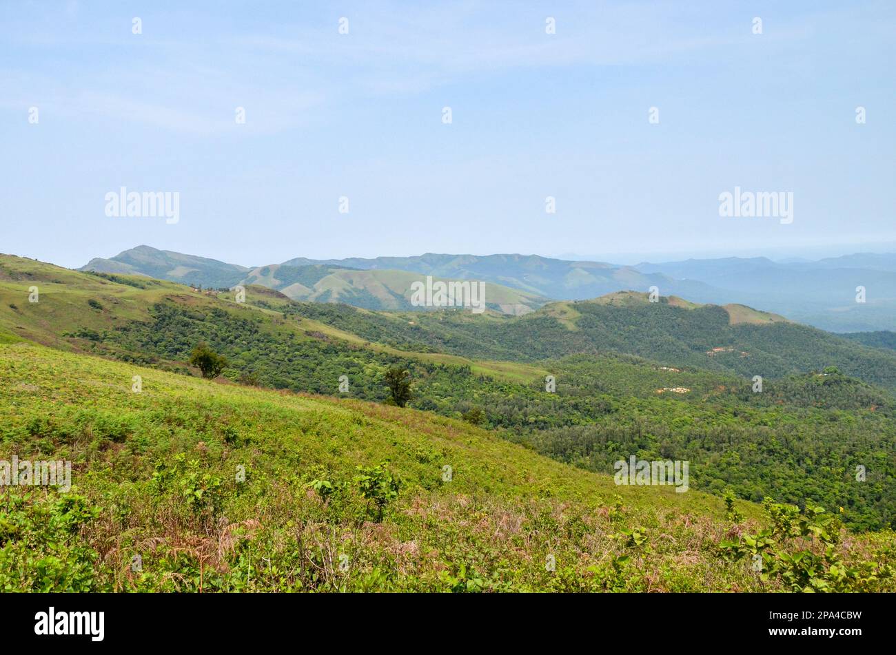 Mullayanagiri range of mountains near Chickmagalur, India Stock Photo ...