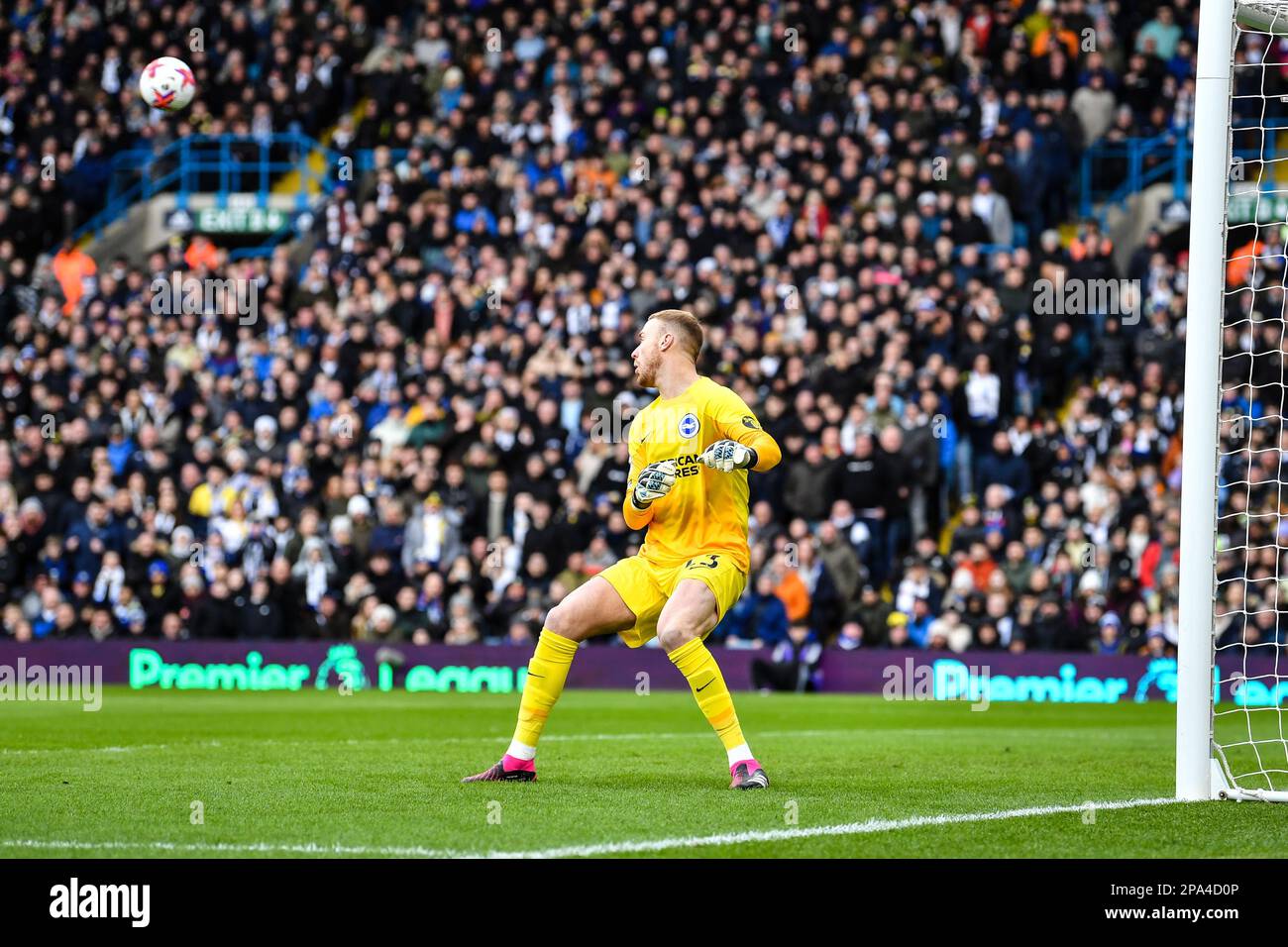 Wide footed hi-res stock photography and images - Alamy