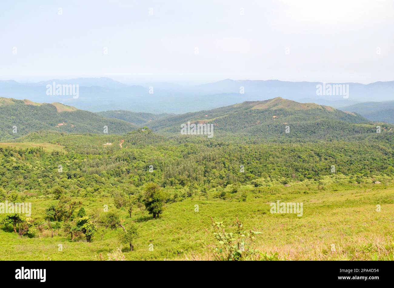 Mullayanagiri range of mountains near Chickmagalur, India Stock Photo ...