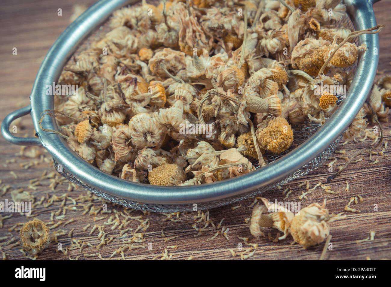Healthy chamomile as herb using in alternative medicine. Source natural ...