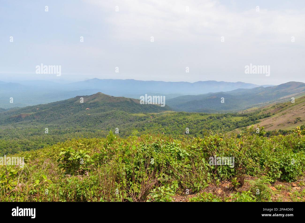Mullayanagiri range of mountains near Chickmagalur, India Stock Photo ...