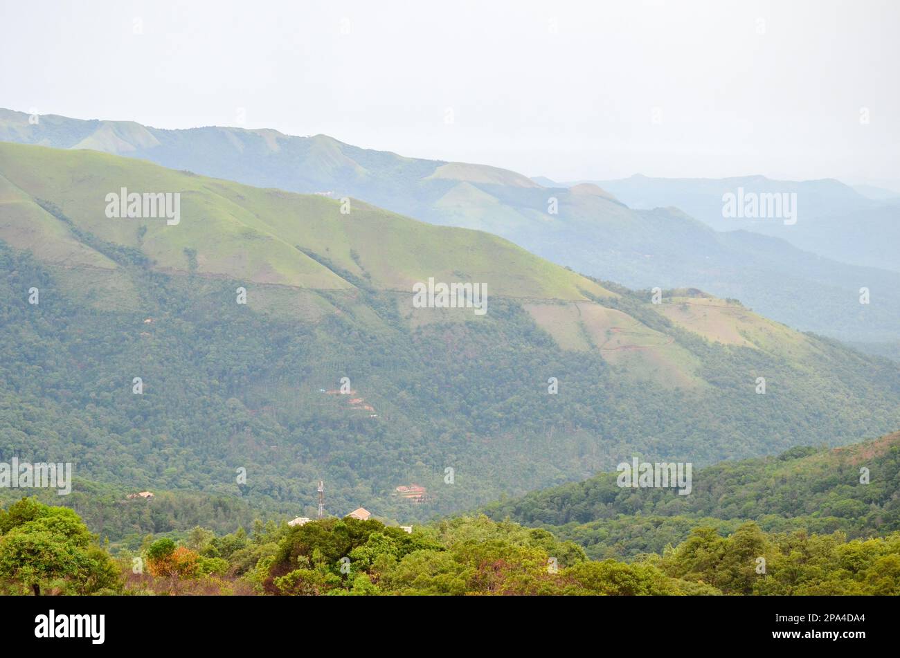 Mullayanagiri range of mountains near Chickmagalur, India Stock Photo ...
