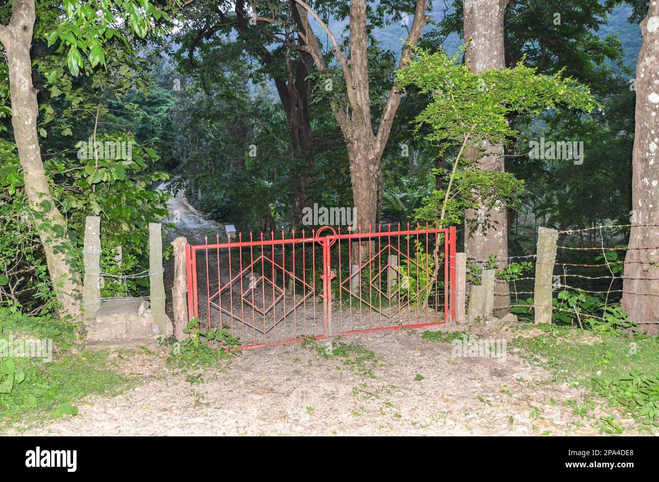 Coffee estate in Chickmangalore in India Stock Photo - Alamy