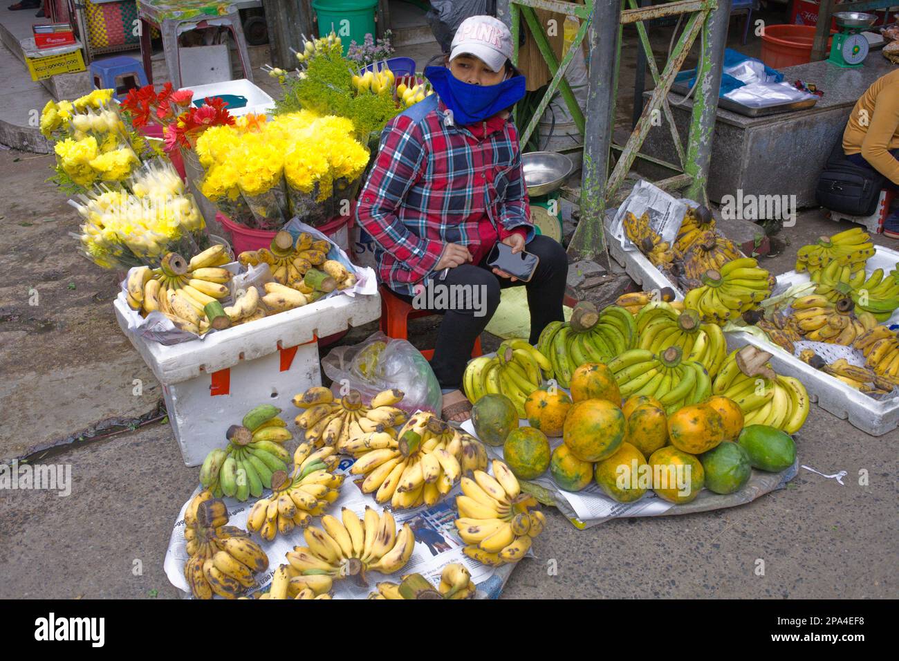 Vietnam con hi-res stock photography and images - Alamy