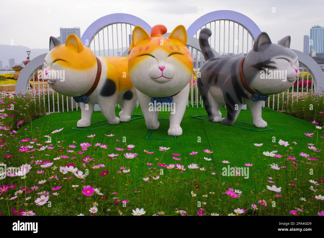 Vietnam the year of cat hi-res stock photography and images - Alamy