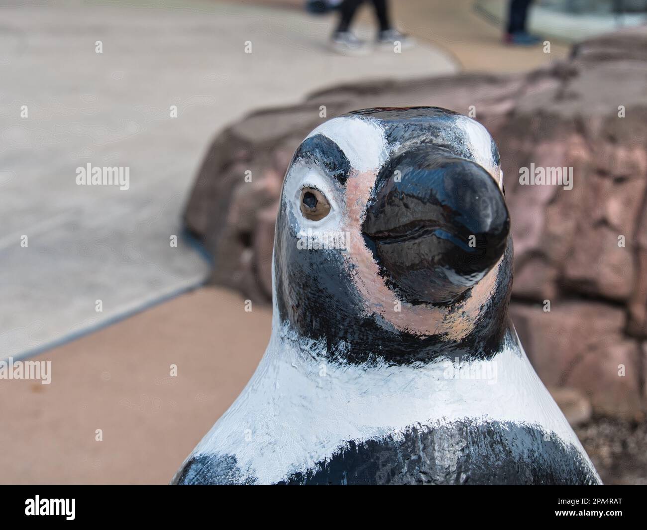 Kansas City, Missouri - March 4, 2023 - Cape Penguin sculpture at the ...