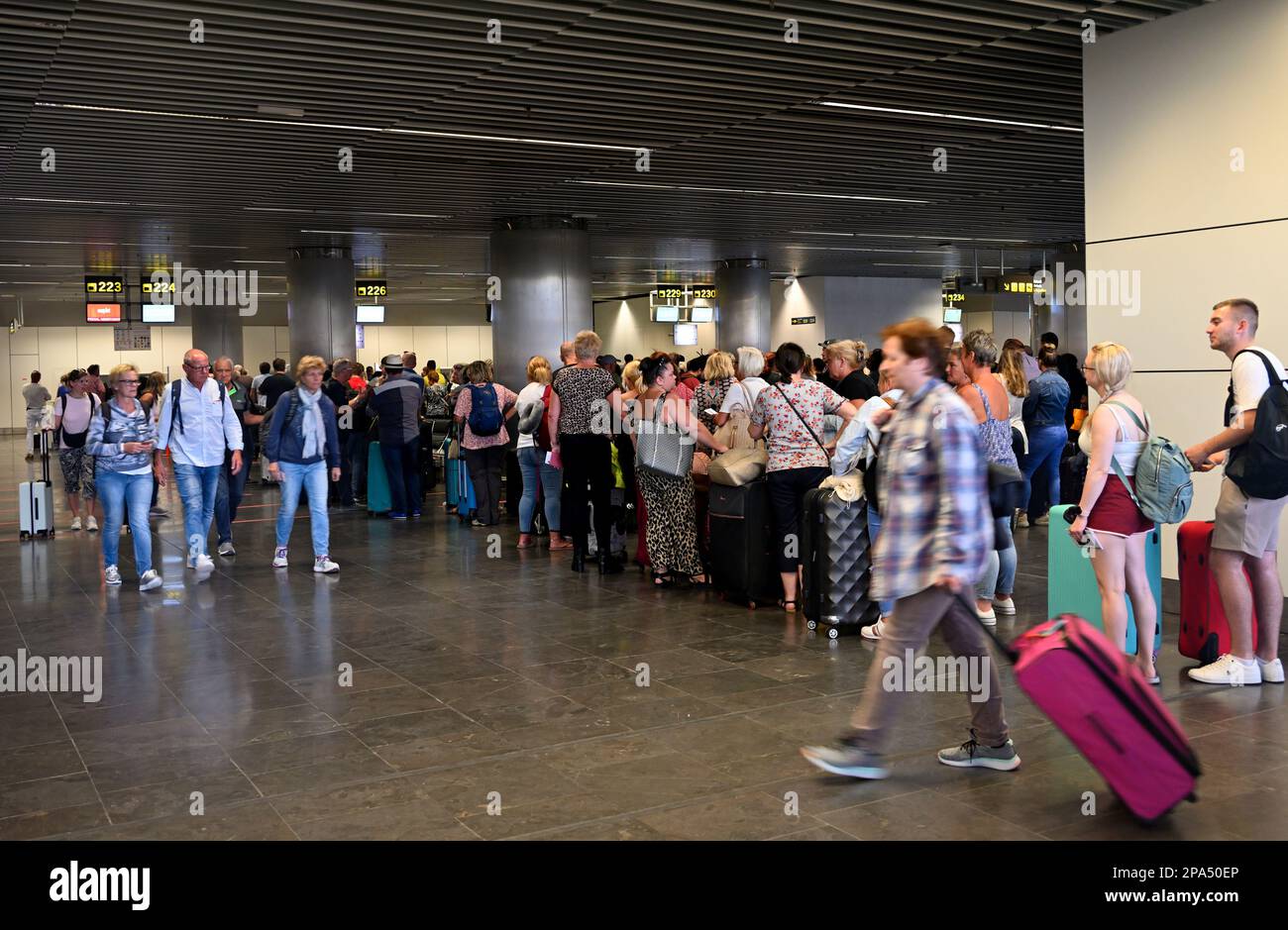 Inside check in area of Gran Canaria Airport with queue of passengers ...