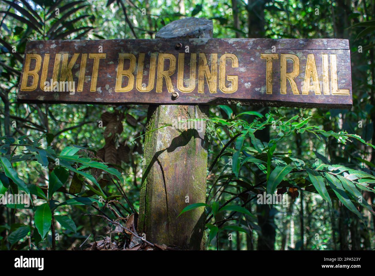 Kinabalu National Park, Sabah, Malaysia - February 22, 2023: Bukit ...