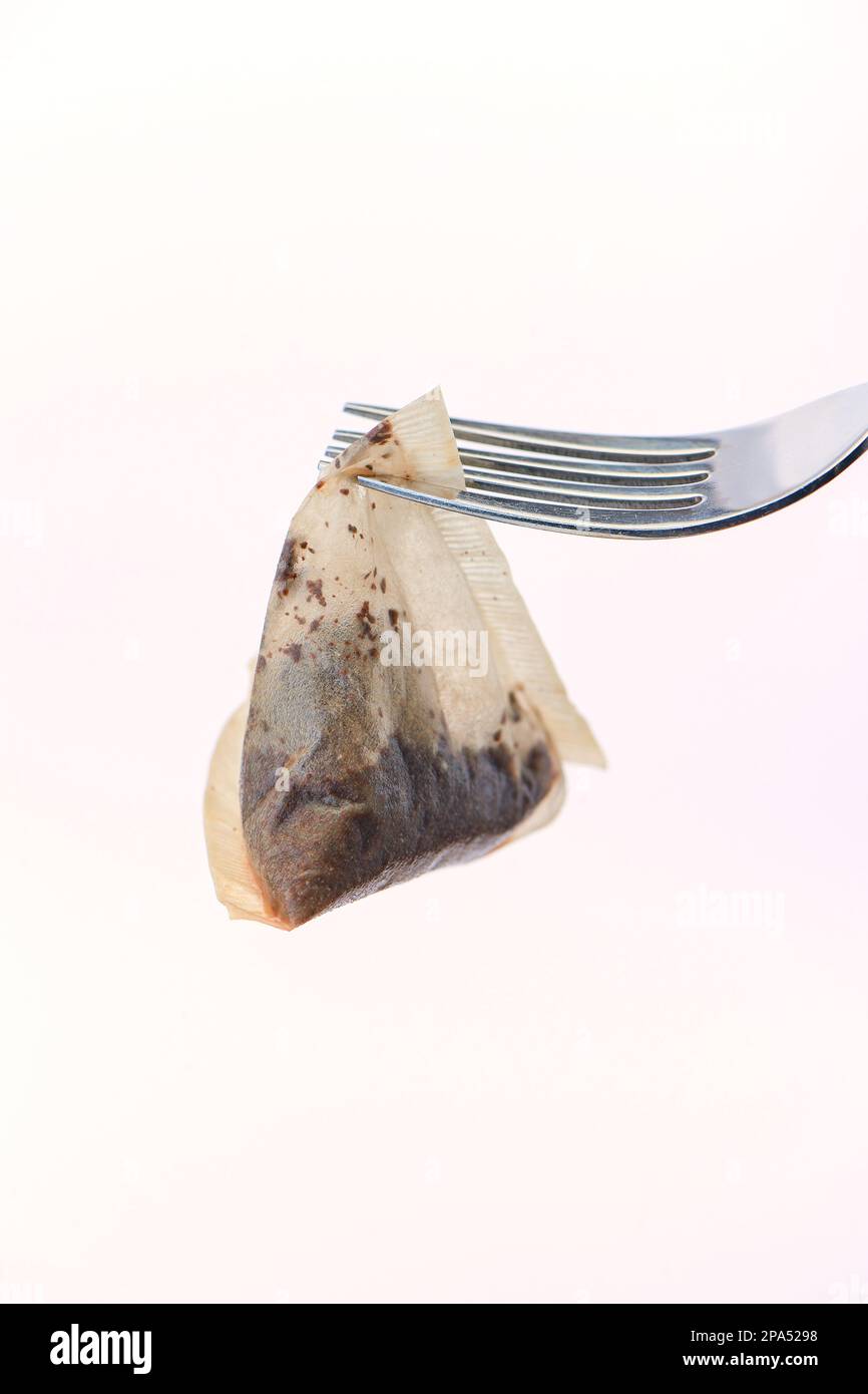 Used triangle tea Bag hanging from a fork against a white background ...