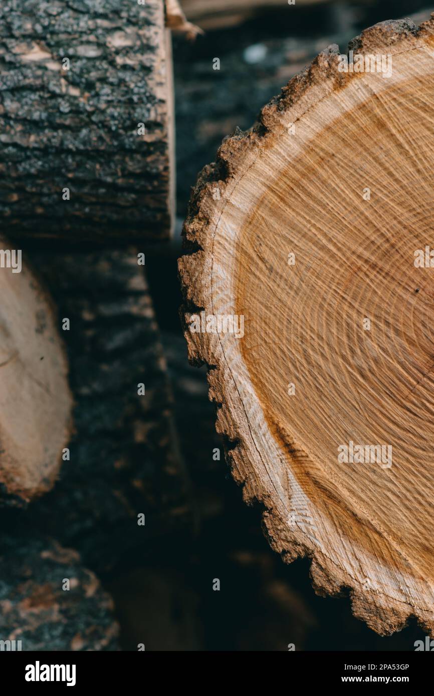 Flat eco design rural hi-res stock photography and images - Alamy