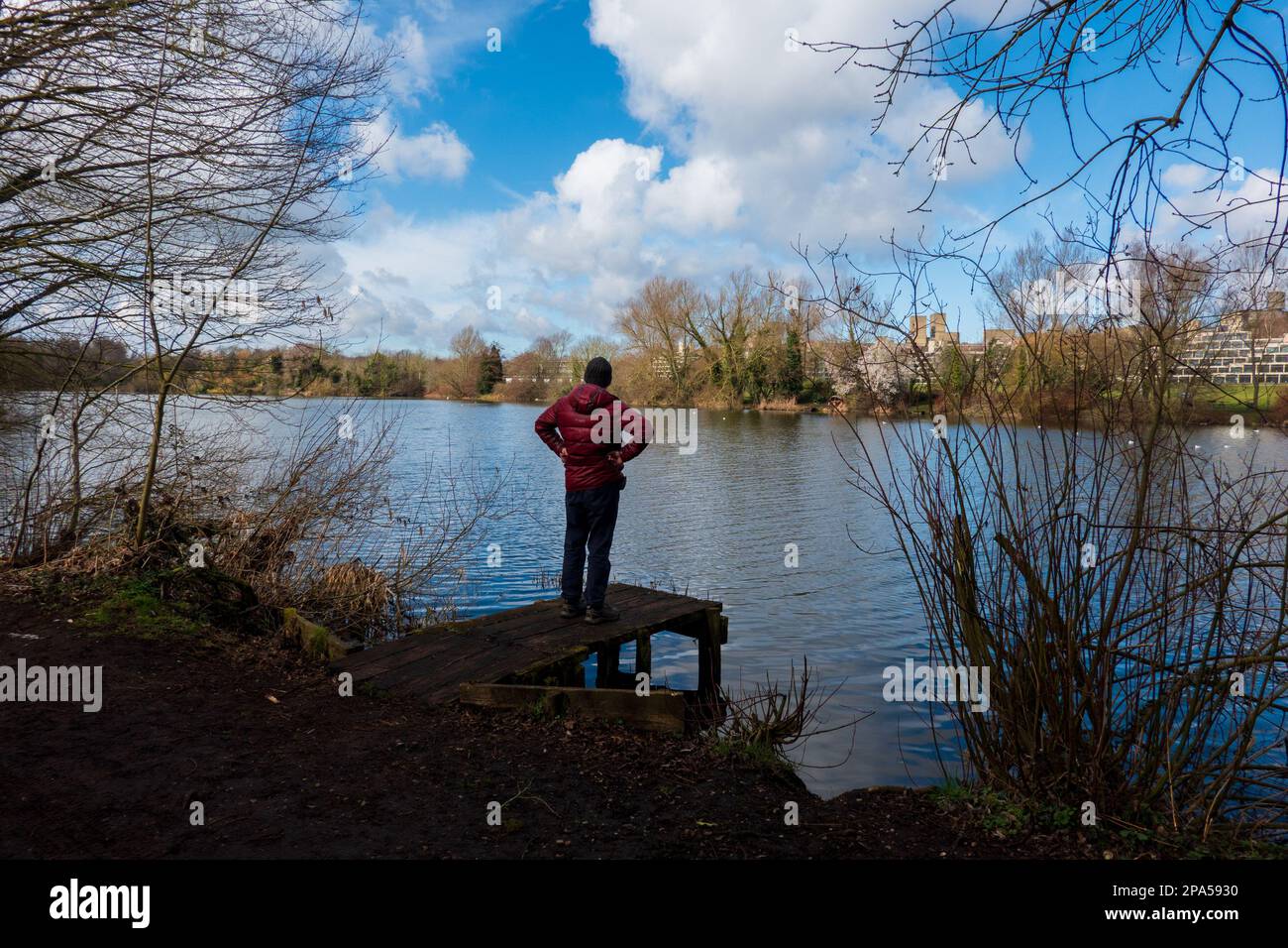 Lake UEA Norwich Stock Photo - Alamy