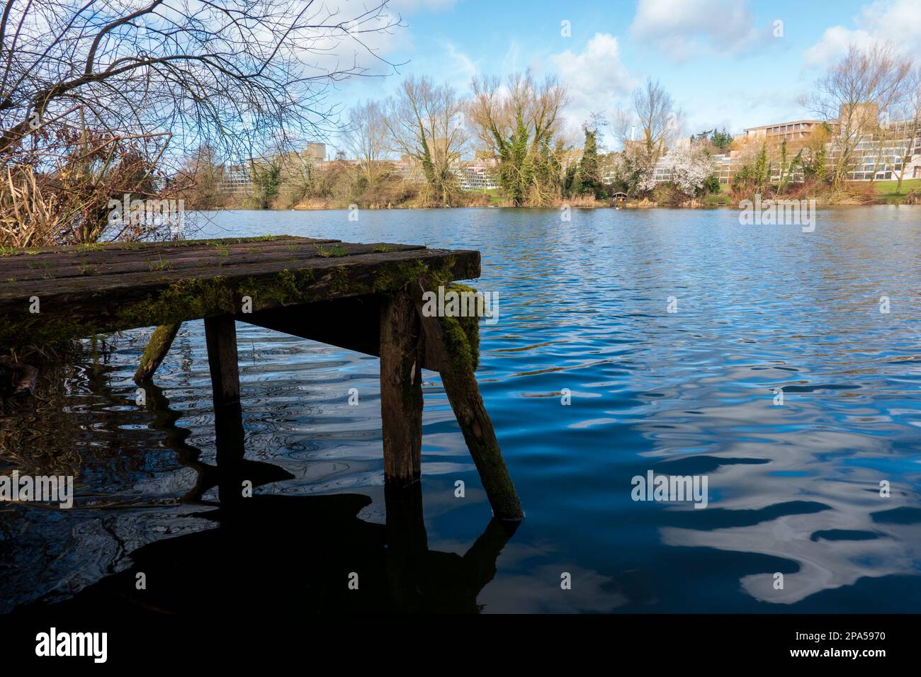 Lake UEA Norwich Stock Photo - Alamy