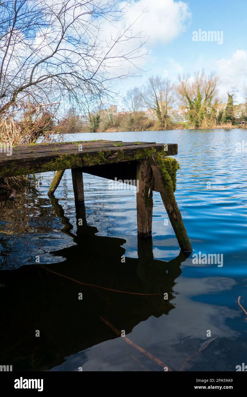 Lake UEA Norwich Stock Photo - Alamy