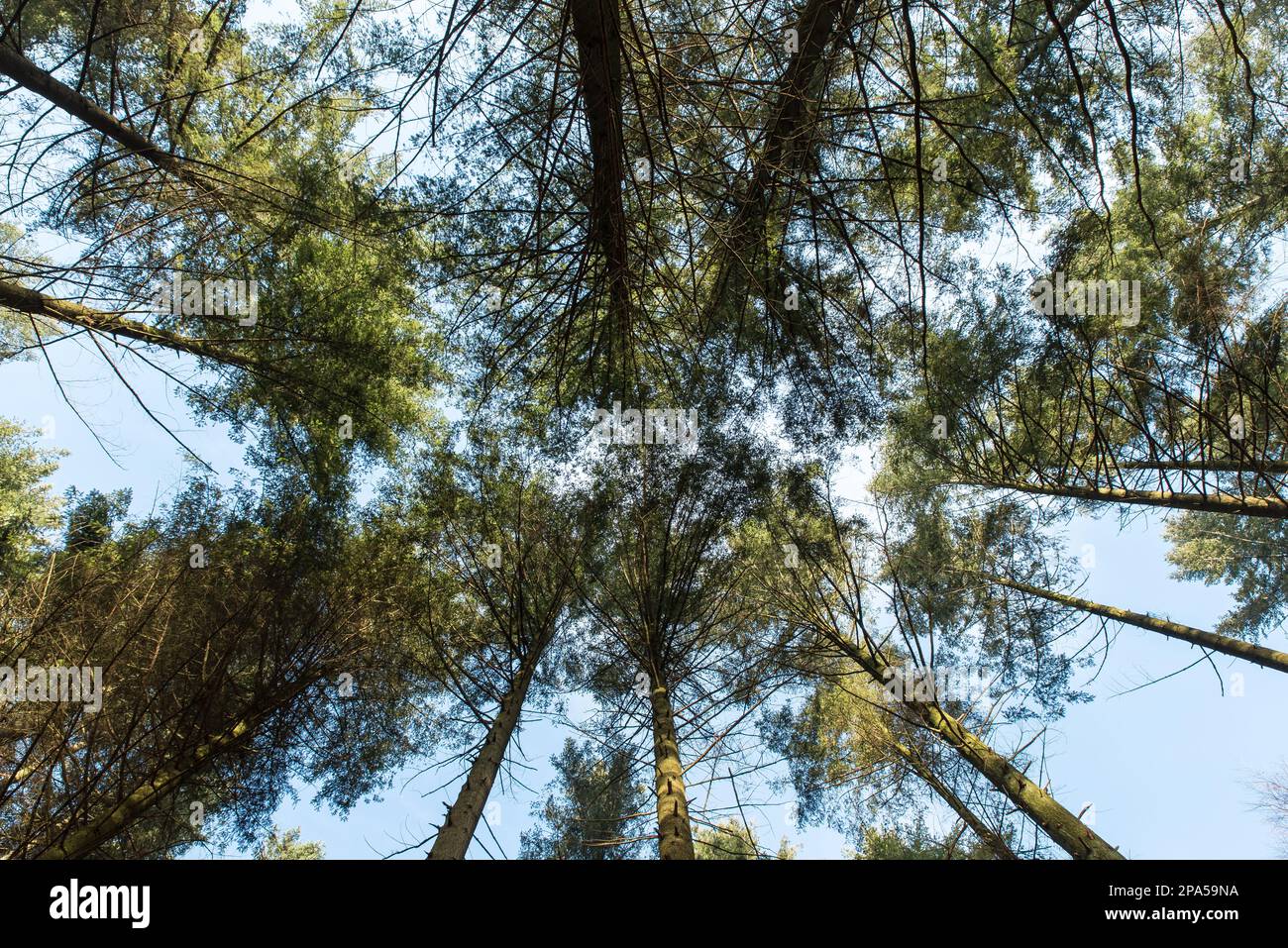 Bottom top perspective hi-res stock photography and images - Alamy