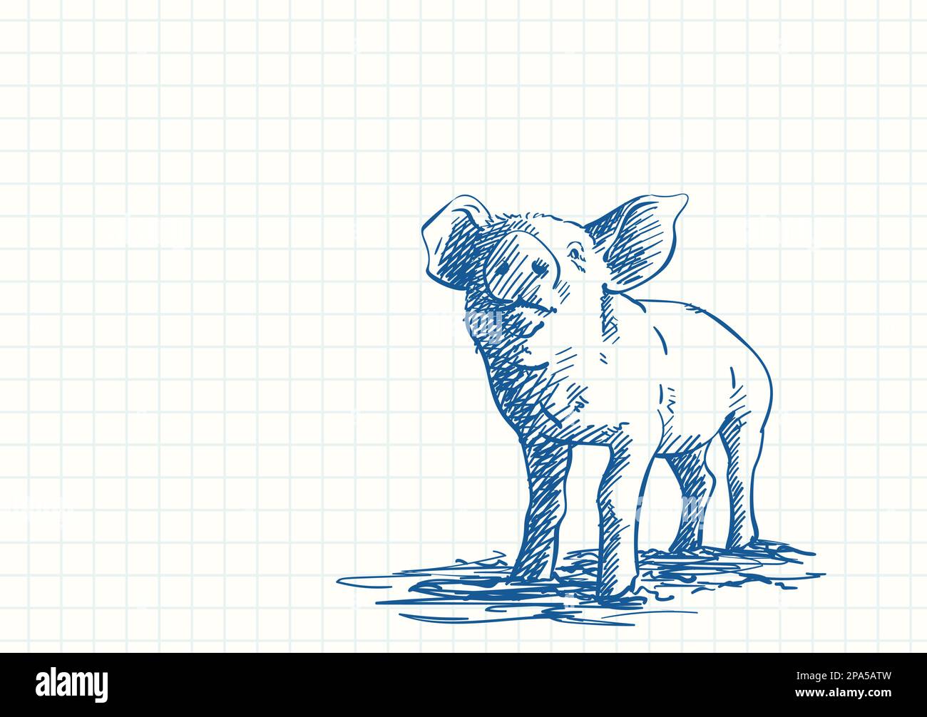Pig, Blue pen sketch on square grid notebook page, Hand drawn vector ...