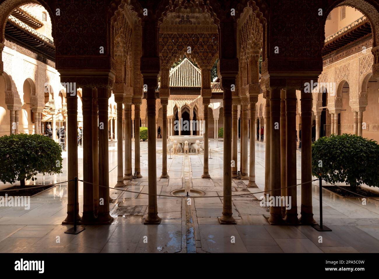 Inside olive gardens hi-res stock photography and images - Alamy