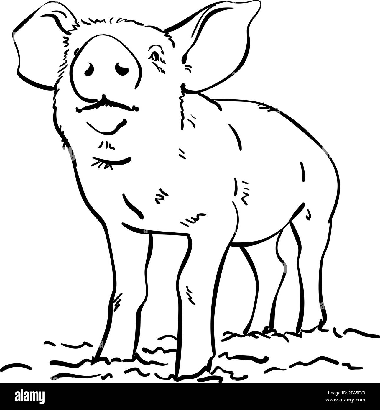 Sketch of pig, Hand drawn vector illustration Stock Vector Image & Art ...