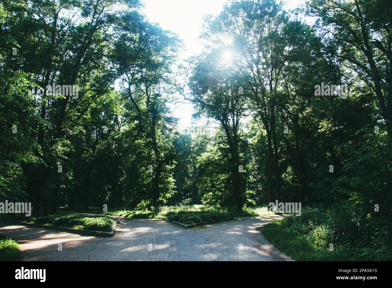 landscape of grass field and green environment public park use as ...