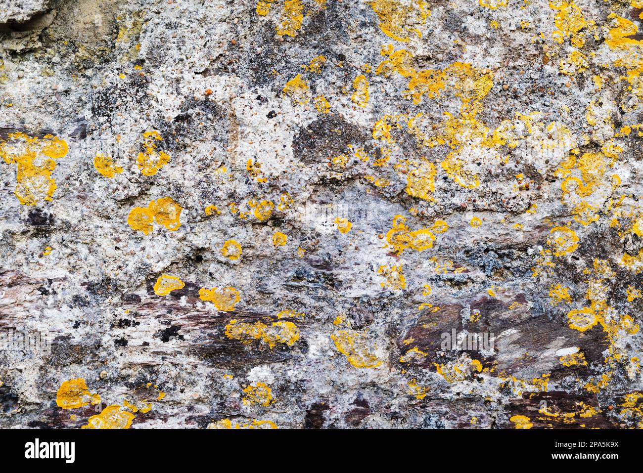 Old british stone wall texture Stock Photo - Alamy
