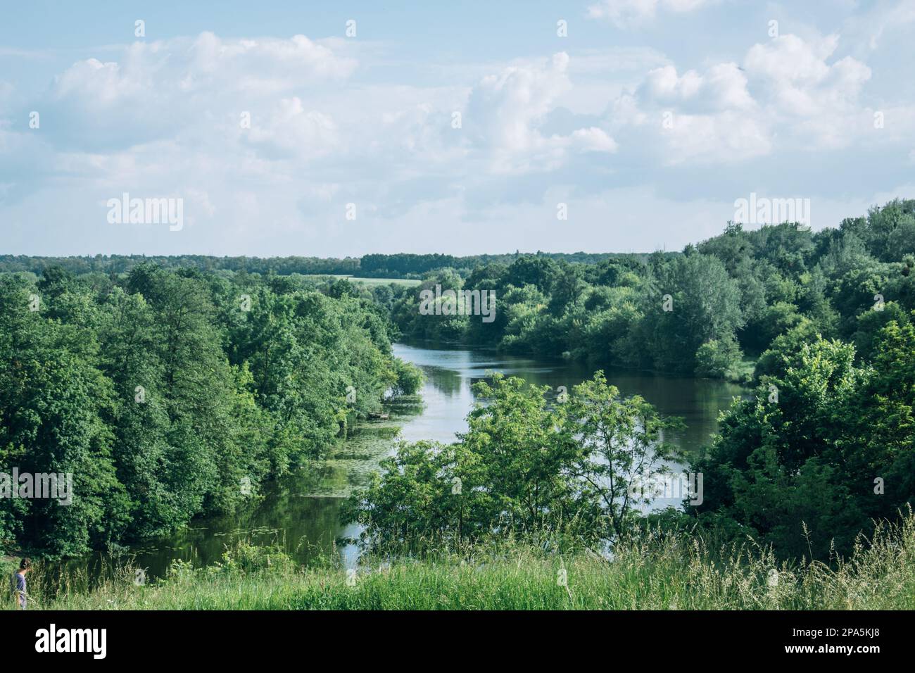 landscape of grass field and green environment public park use as ...