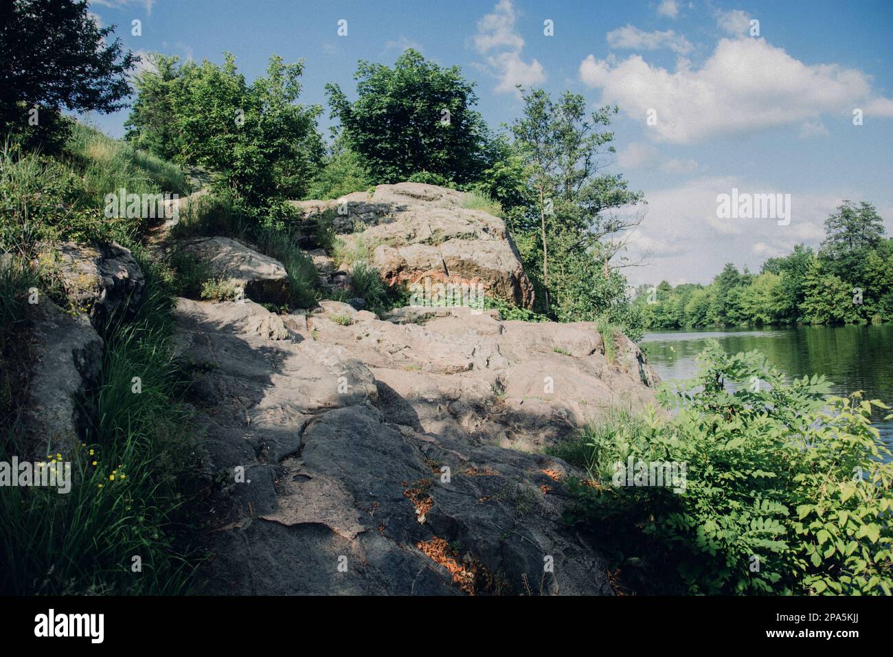 landscape of grass field and green environment public park use as ...