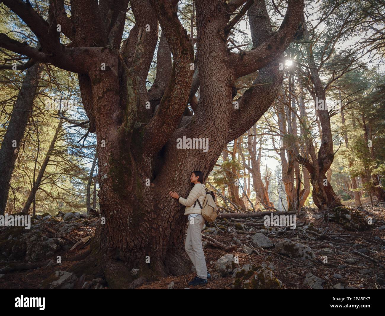 asian woman enjoys being in nature, beautiful forest in mountains ...