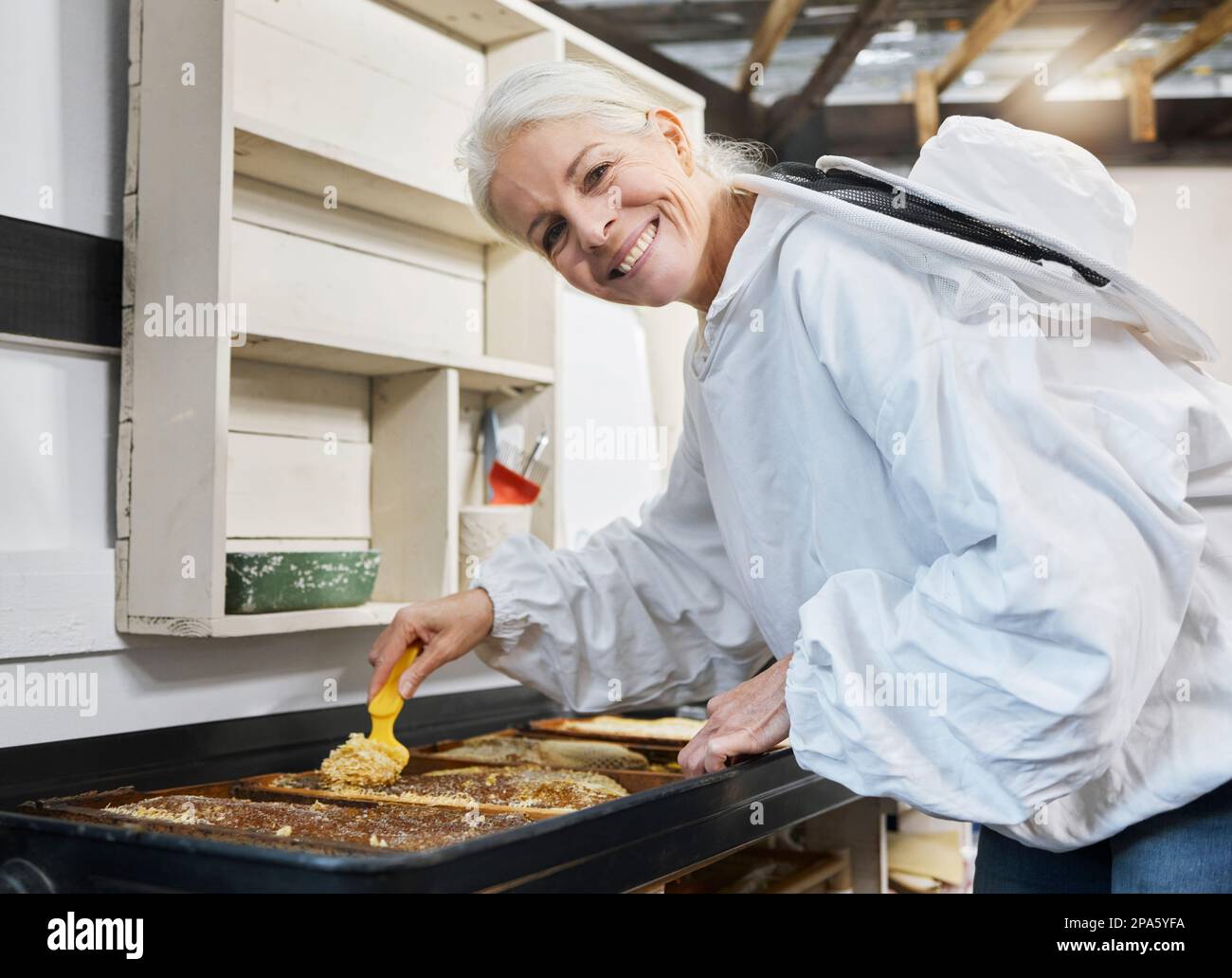 Senior woman, beekeeping and honey during production process for bee ...