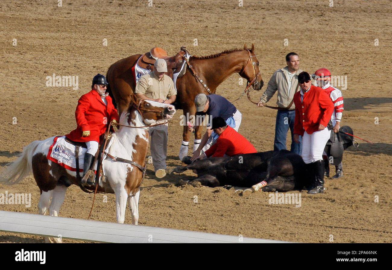 Eight Belles is examined on the track after the 134th Kentucky Derby ...