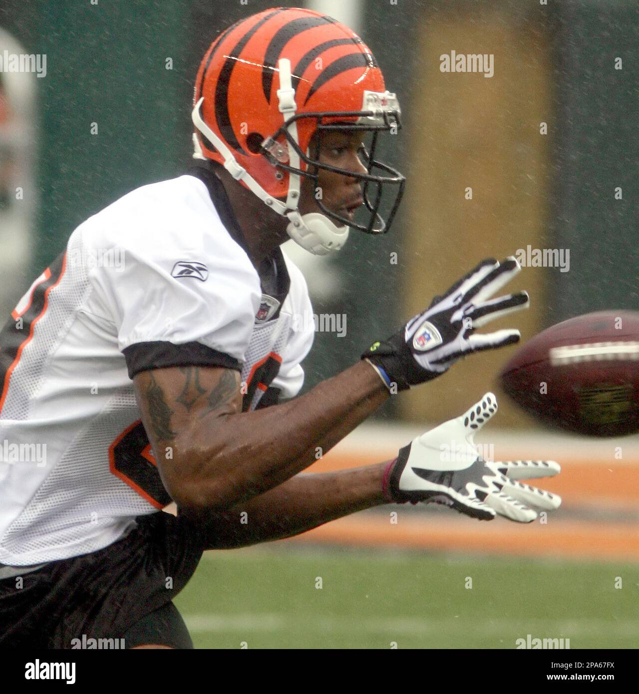 Cincinnati Bengals second-round draft pick Jerome Simpson catches a ...