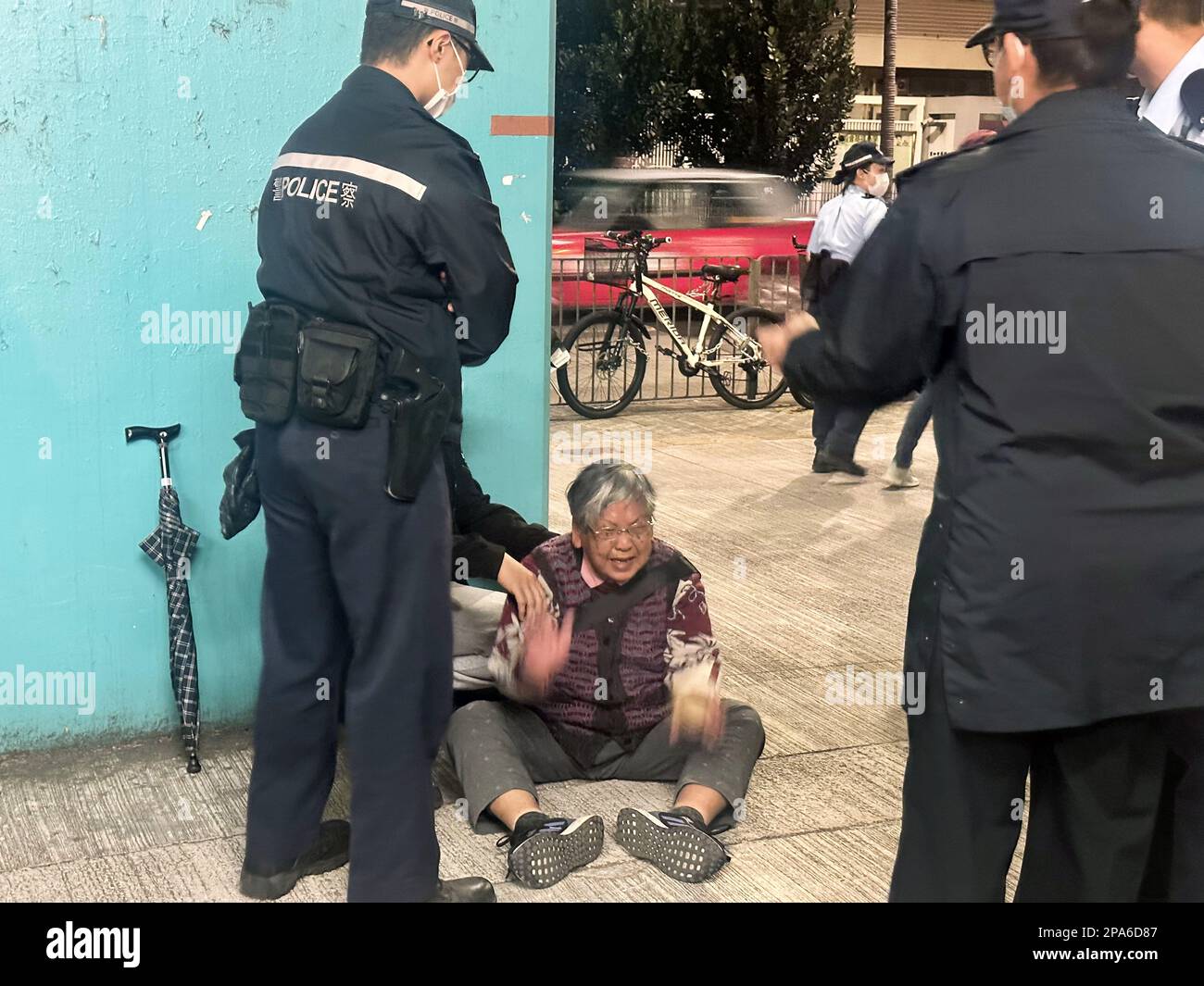 A 90-year-old licensed street hawker Chan Tak-ching had her roast ...
