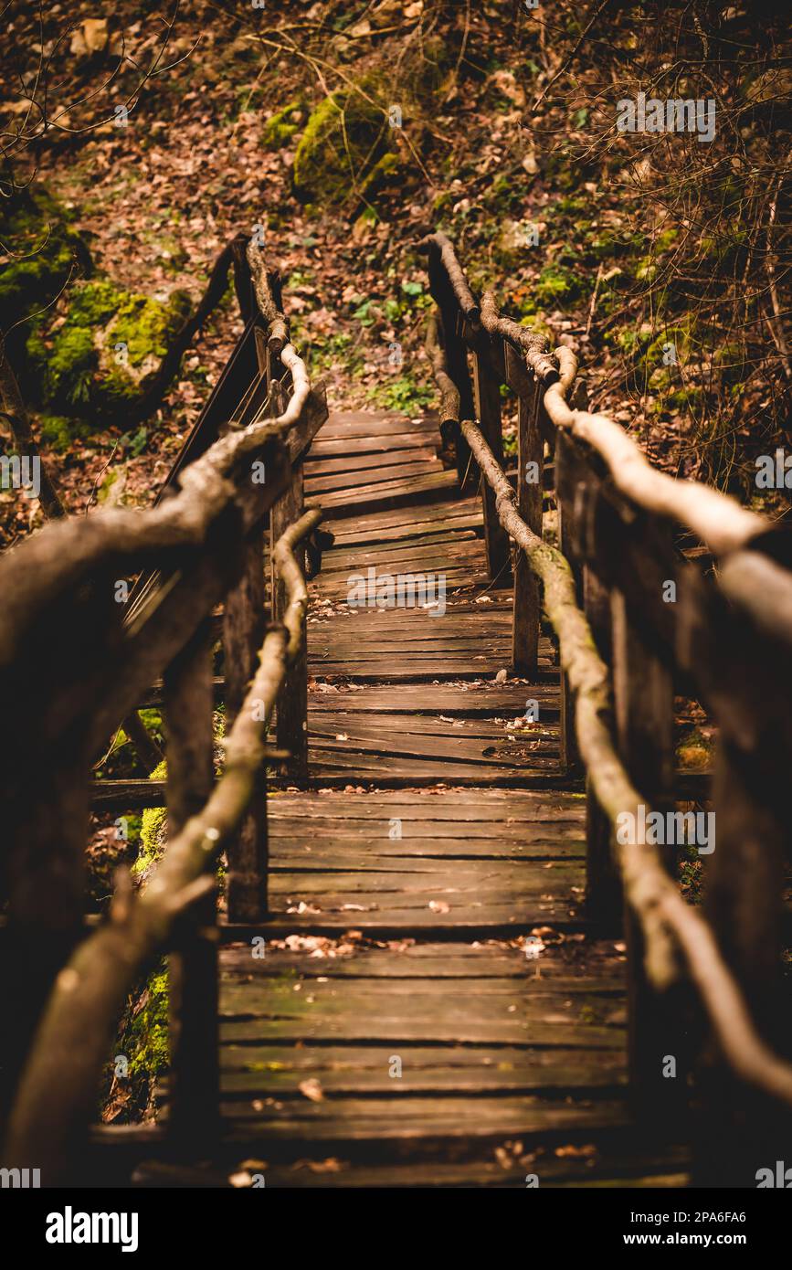 A timeworn wooden bridge illuminated by the setting sun, crossing ...