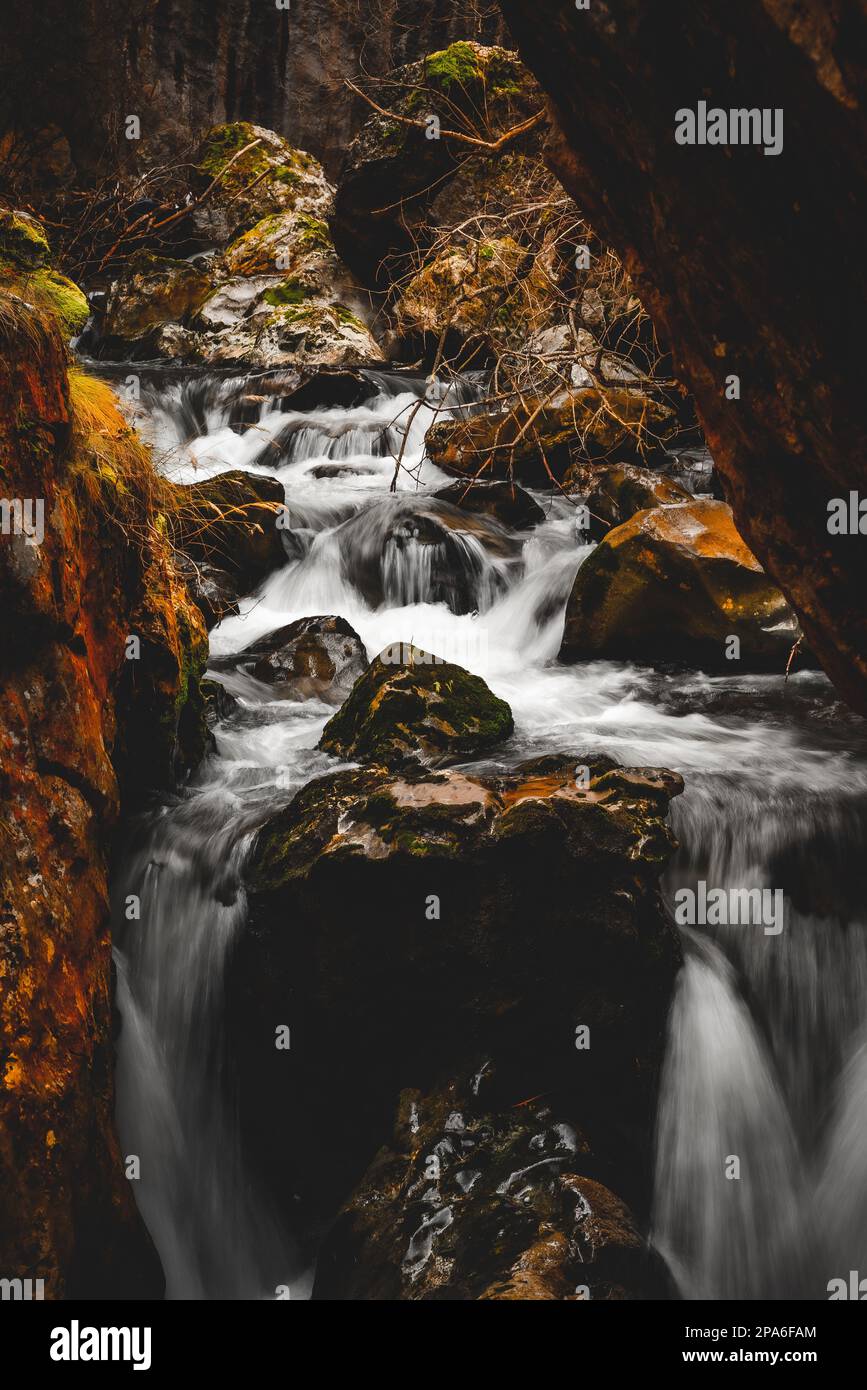 A small mountain stream cascading over rocks in a lush forest setting ...