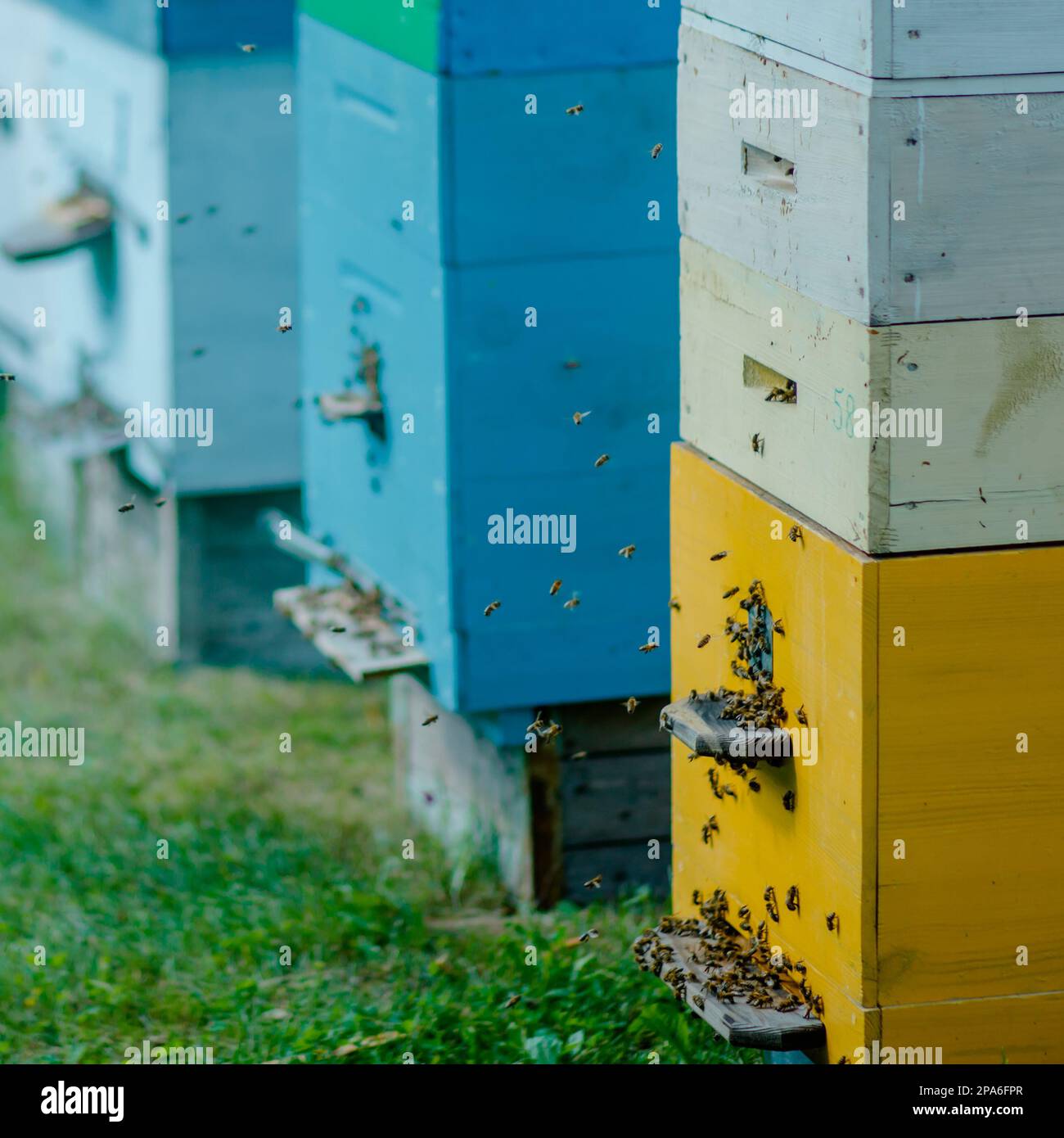 Beehive hive hi-res stock photography and images - Alamy