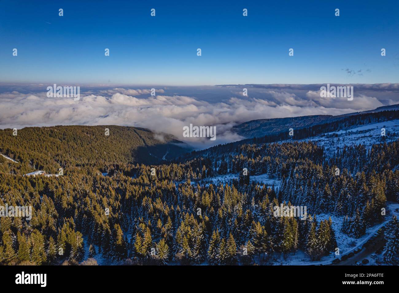 A majestic mountain range dotted with evergreen fir trees is set ...