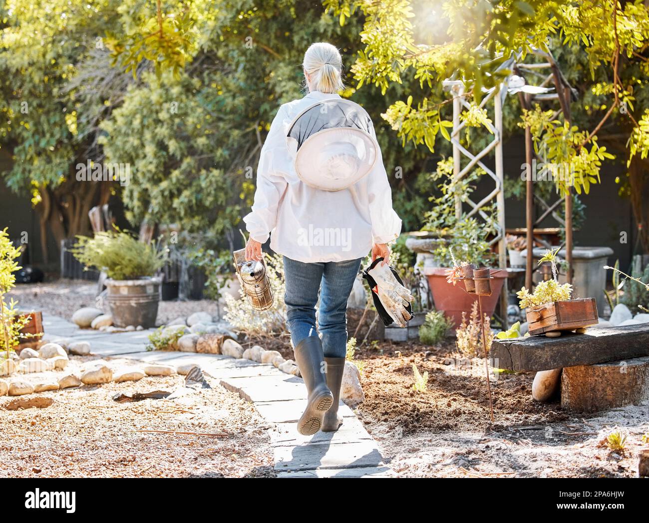 Beekeeping, smoke for bees and woman in garden walking with farming ...