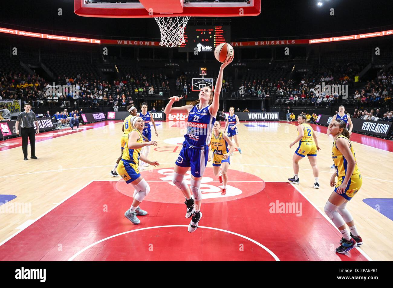 Castors' Jessica Lindstrom and Mechelen's Morgan Bertsch pictured in ...