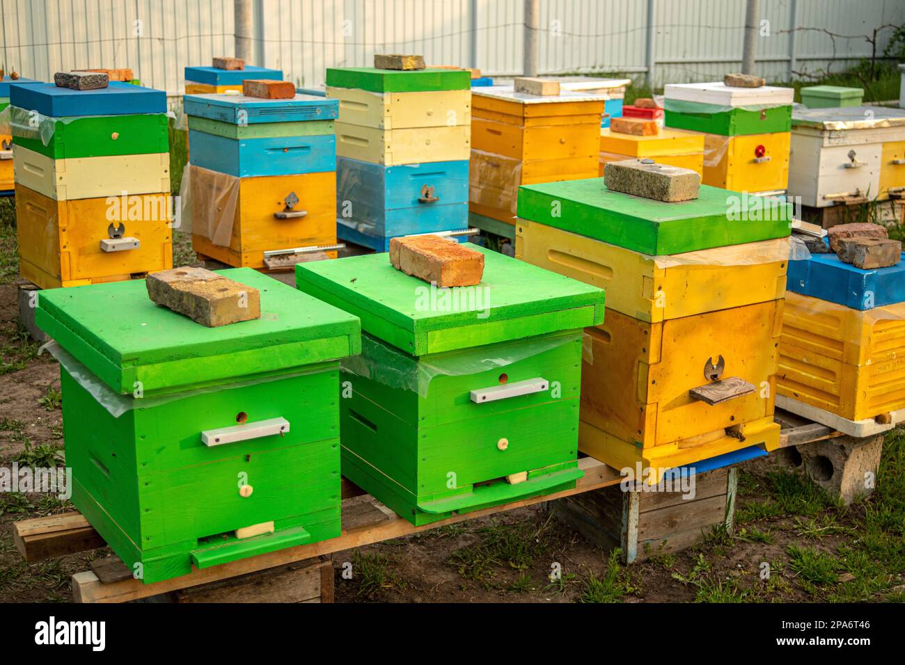 Background with beehives. Beehives with honey bees on green grass. bees come back from honey ...